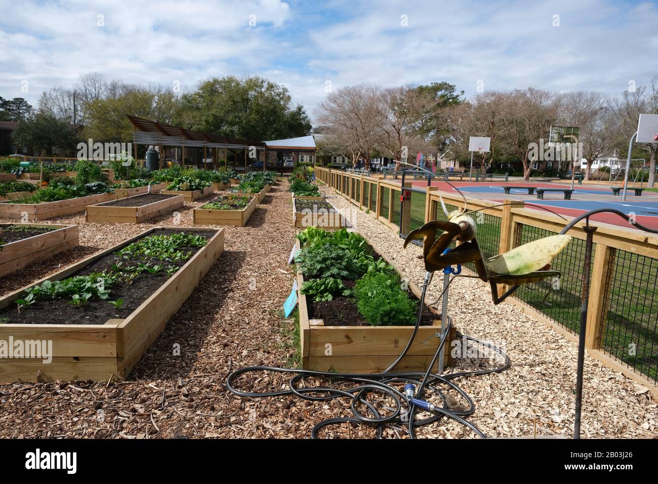 Individual plots hi-res stock photography and images - Alamy