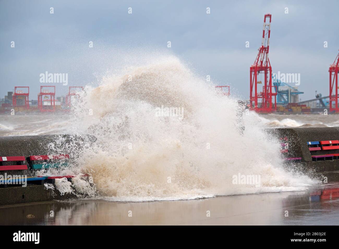 Series of before and after images of a young family getting too close ...