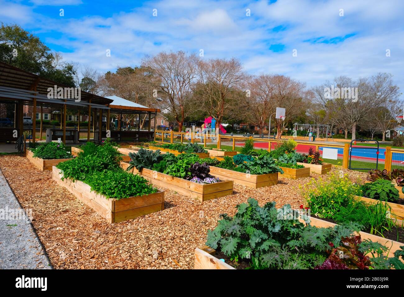Individual Plots of Soil for Individual Gardens by Persons in Community ...