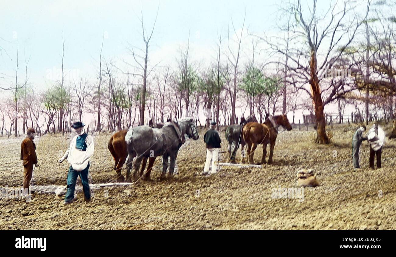 Sowing farming edwardian hi-res stock photography and images - Alamy