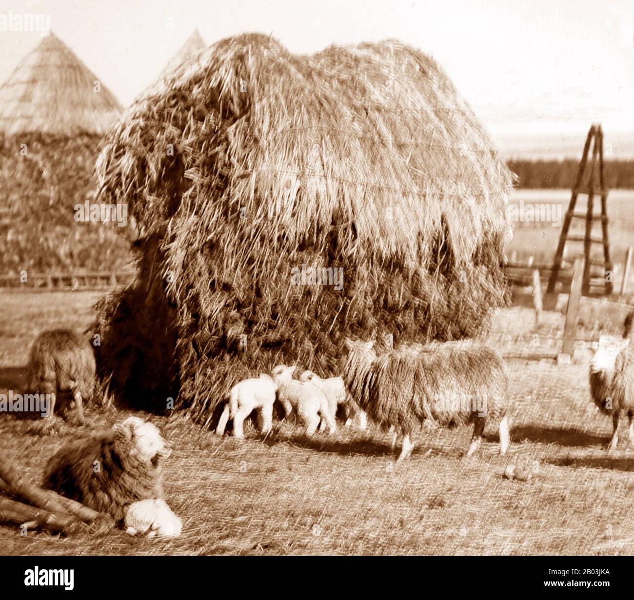 Old english farmyard hi-res stock photography and images - Alamy