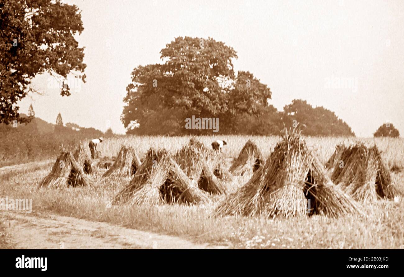 Hay making haymaking hi-res stock photography and images - Alamy