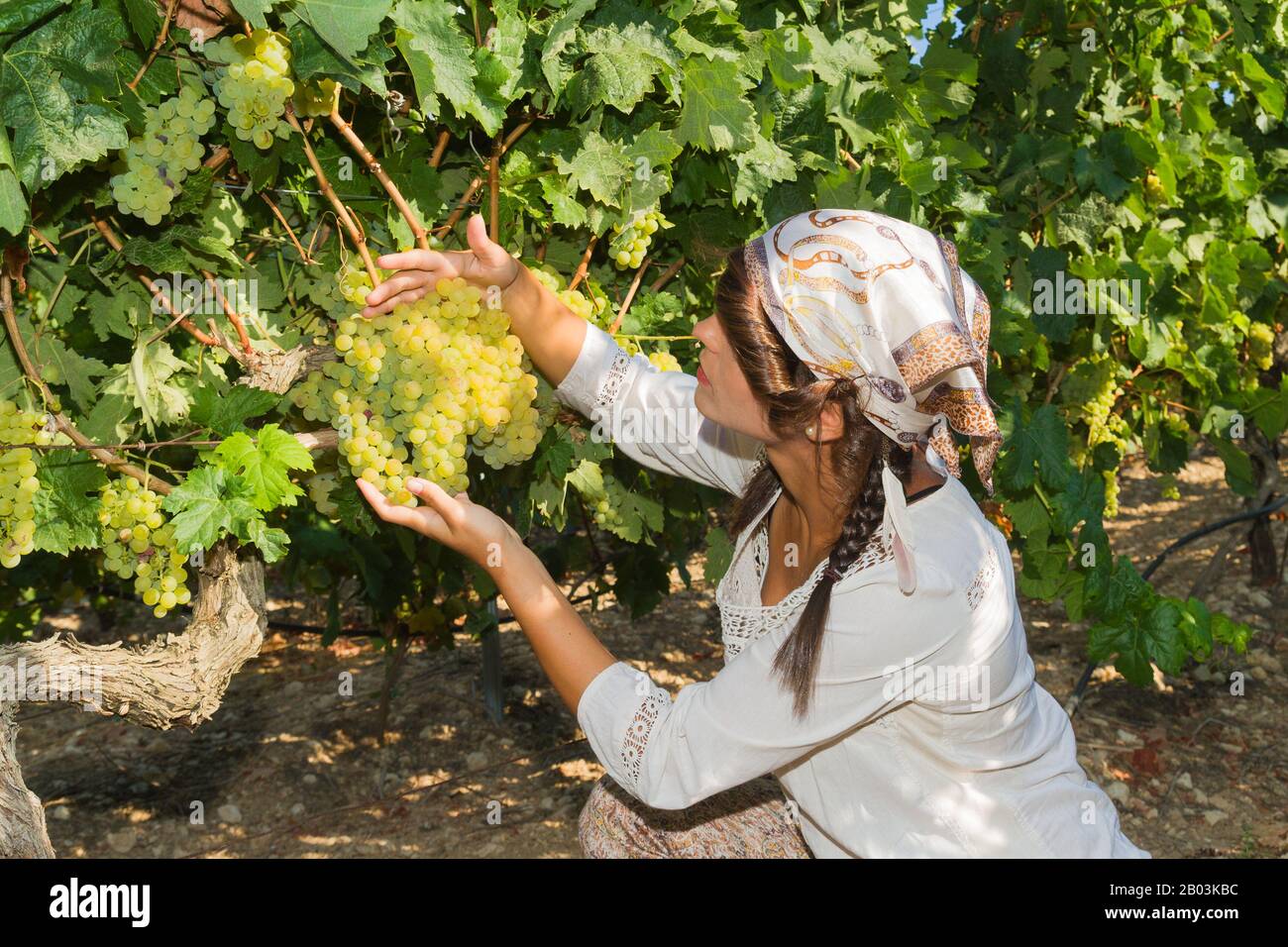 Quality assurance checking hi-res stock photography and images - Alamy
