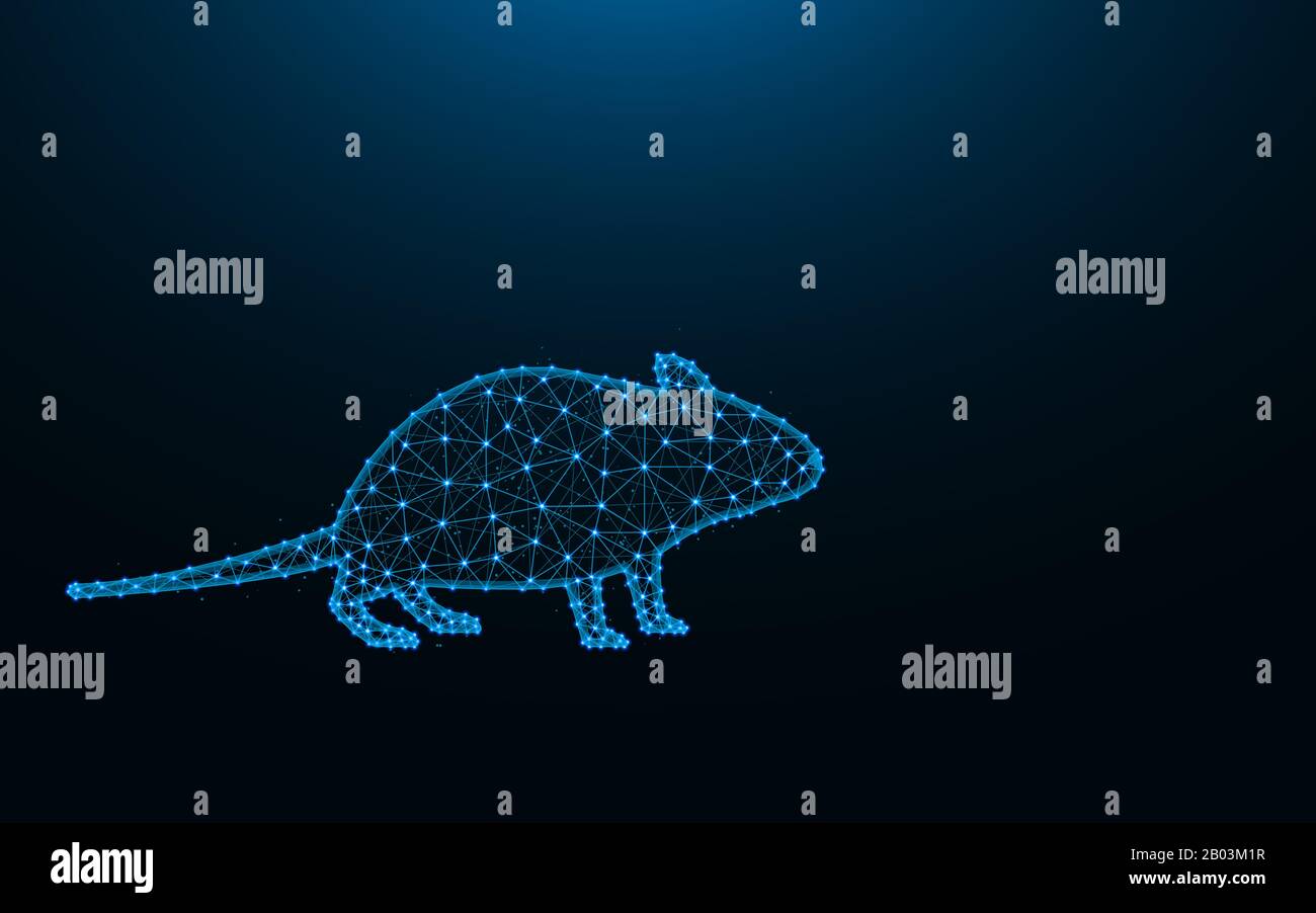 Mouse made from points and lines on dark blue background, rodent ...