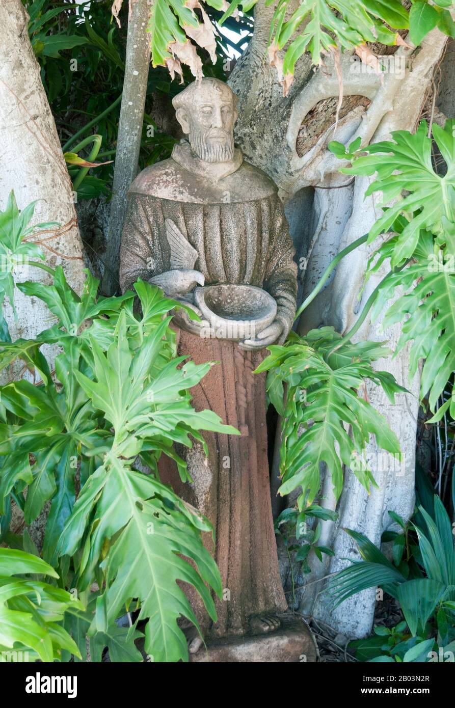 The hidden statue of a monk between exotic trees in Playa del Carmen ...