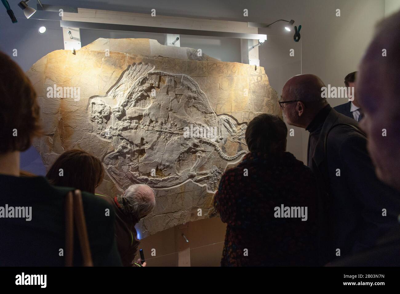 Bamberg, Germany. 18th Feb, 2020. Visitors to the Natural History ...