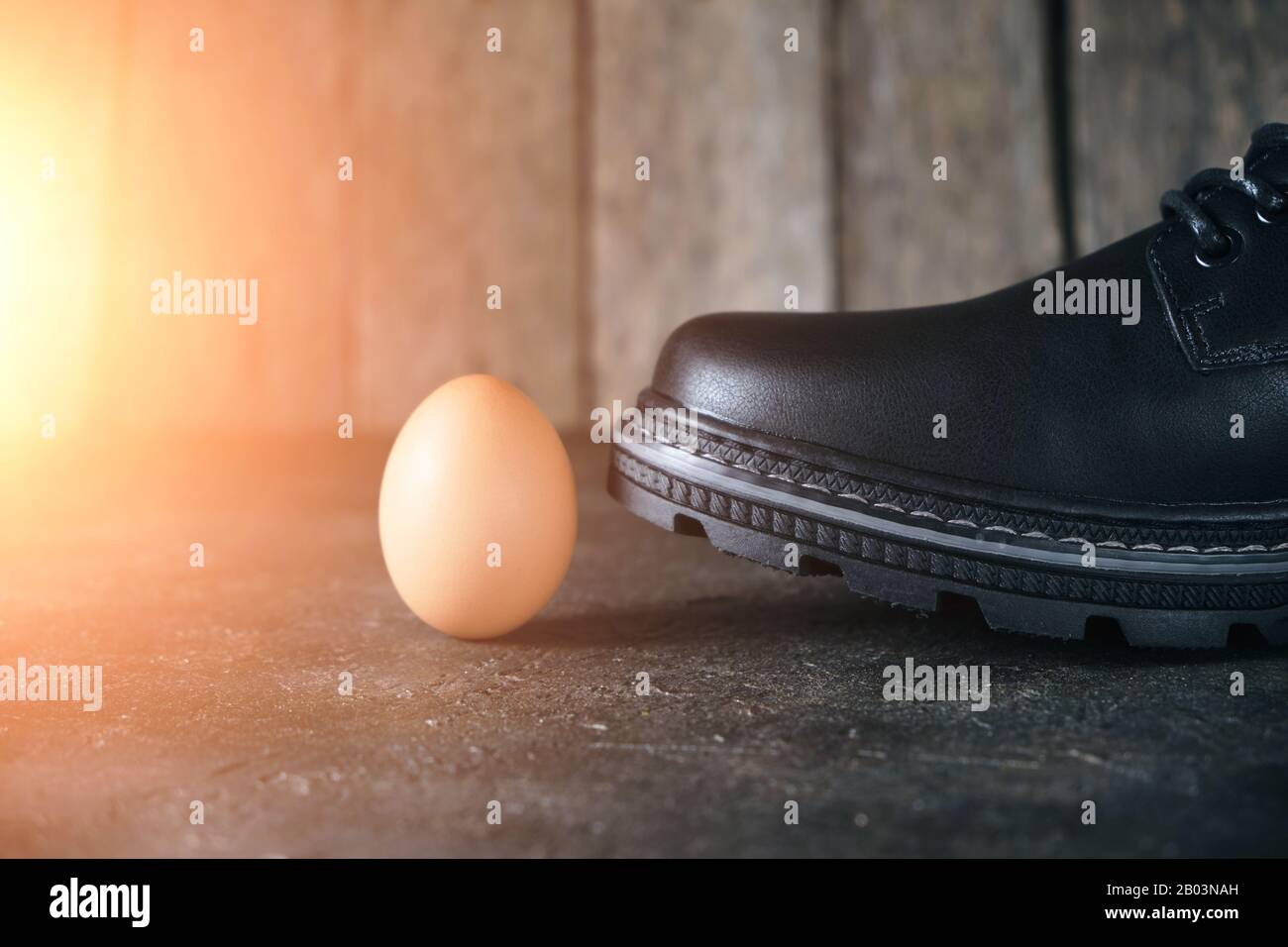 Black boot and a fragile chicken egg with a Sunny glow. The concept ...
