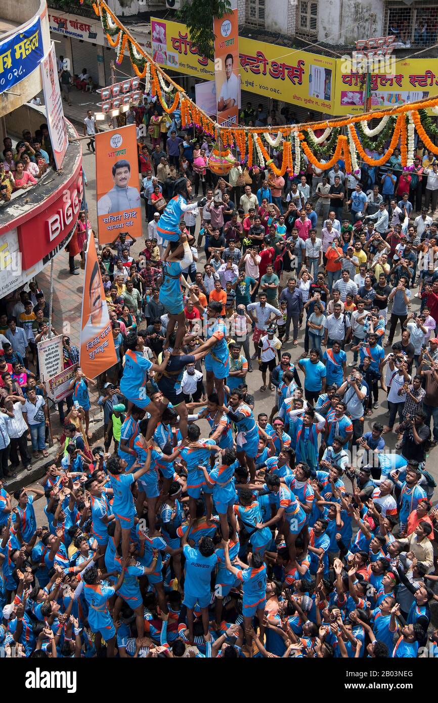 The image of Human pyramid breaking dahi Handi in the festival in ...