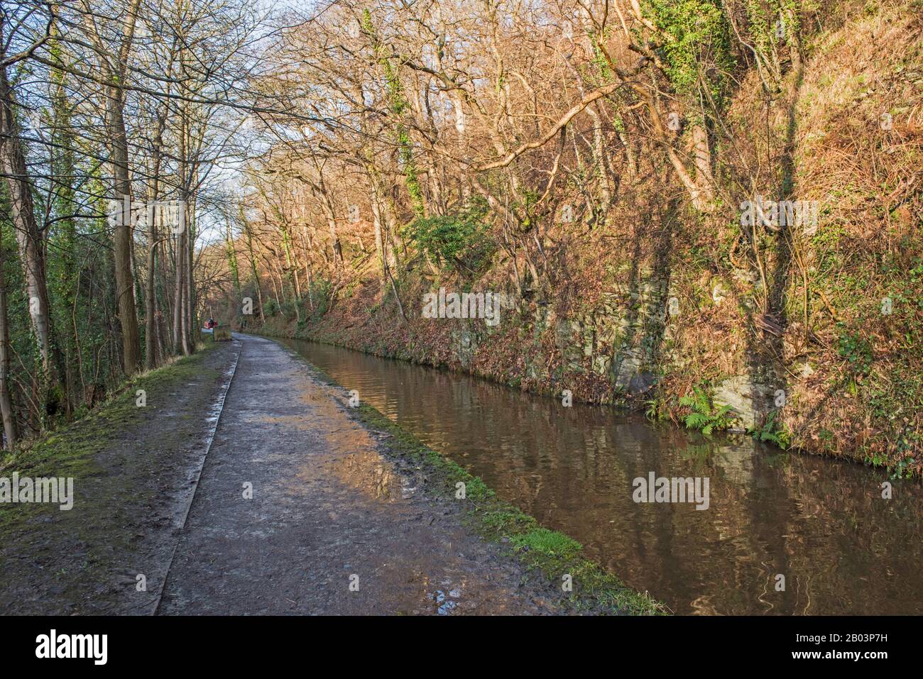 View of English rural countryside scenery on British waterway canal ...