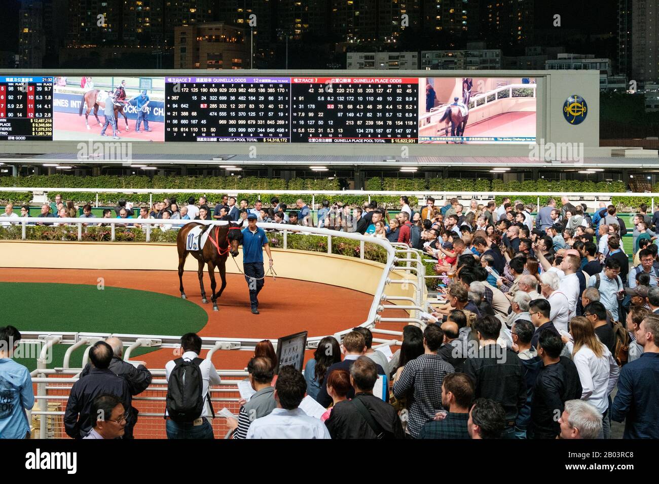 Hong Kong, November, 2019: People looking at race horse in Hong Kong ...