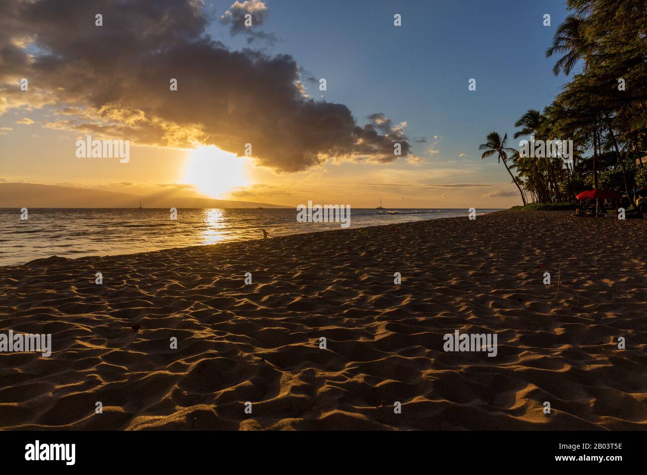 Sunset beach scene from Maui, Hawaii, USA Stock Photo - Alamy