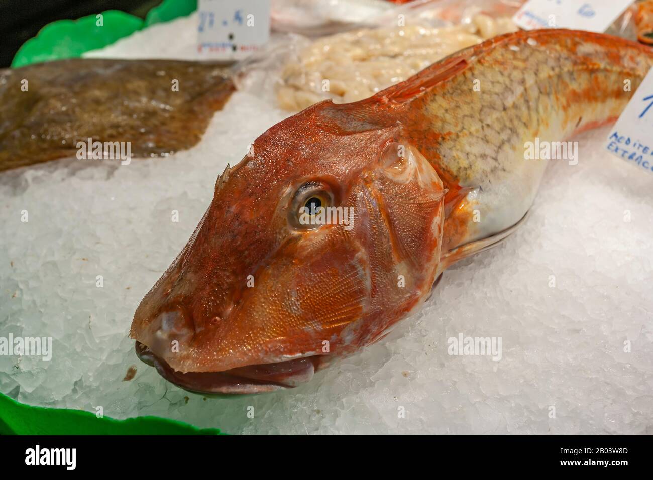 Whole fresh fish on a slab of ice in Mercado de La Boqueria a Famous ...