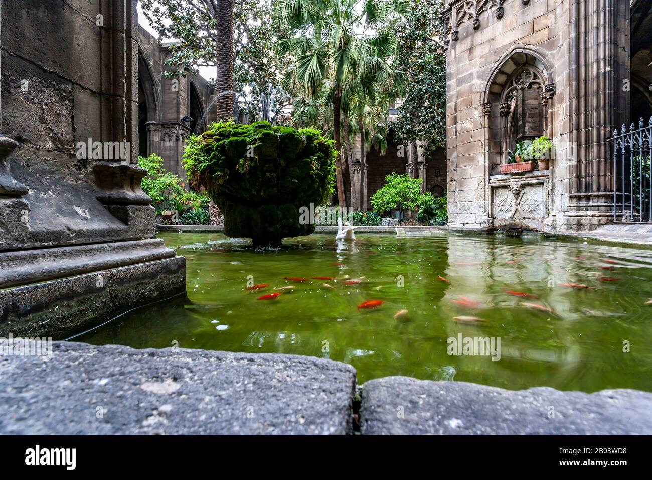 A Goldfish pond in a courtyard surrounded by stone walls, Barcelona ...