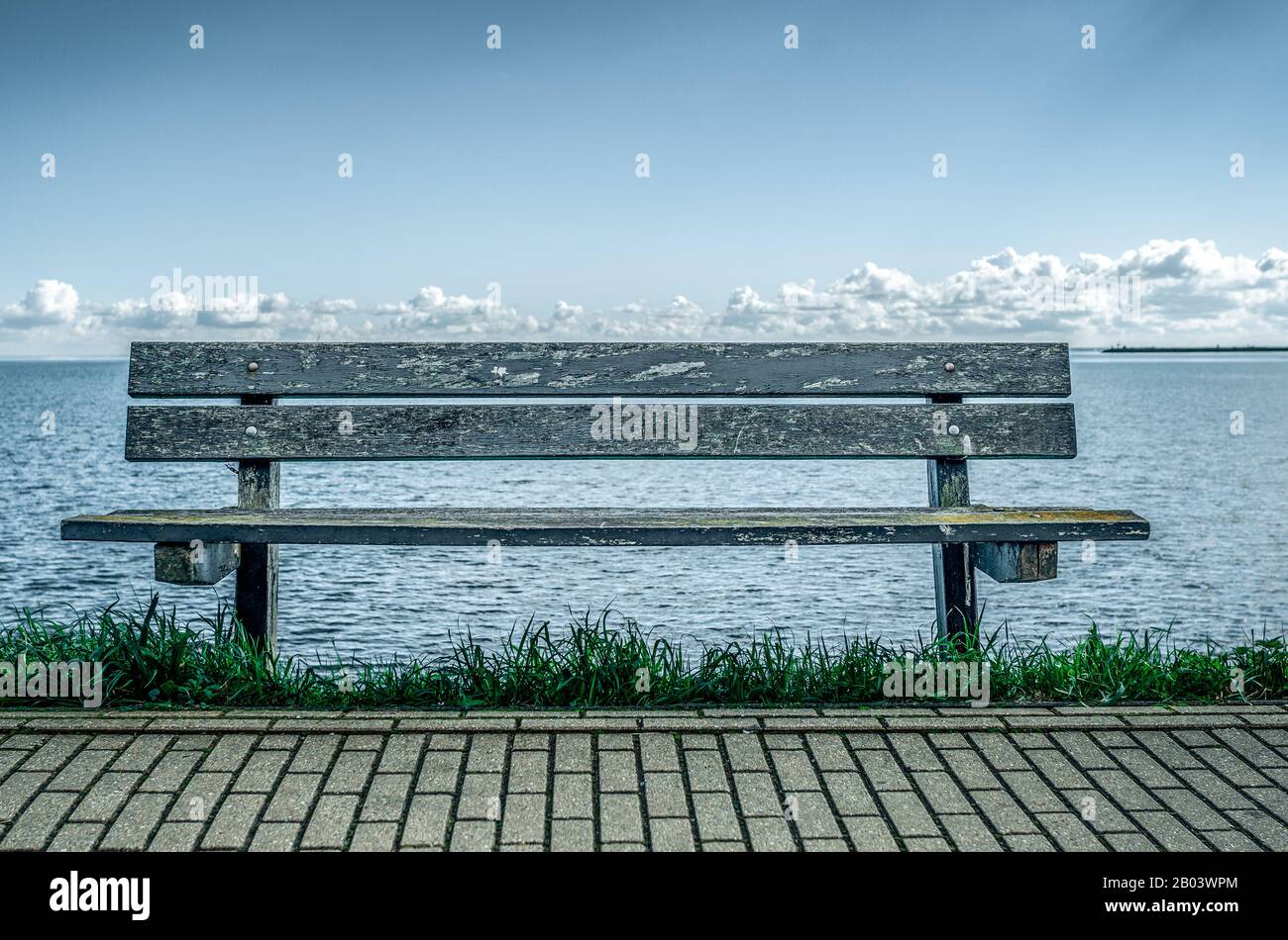 Camp weed hi-res stock photography and images - Alamy