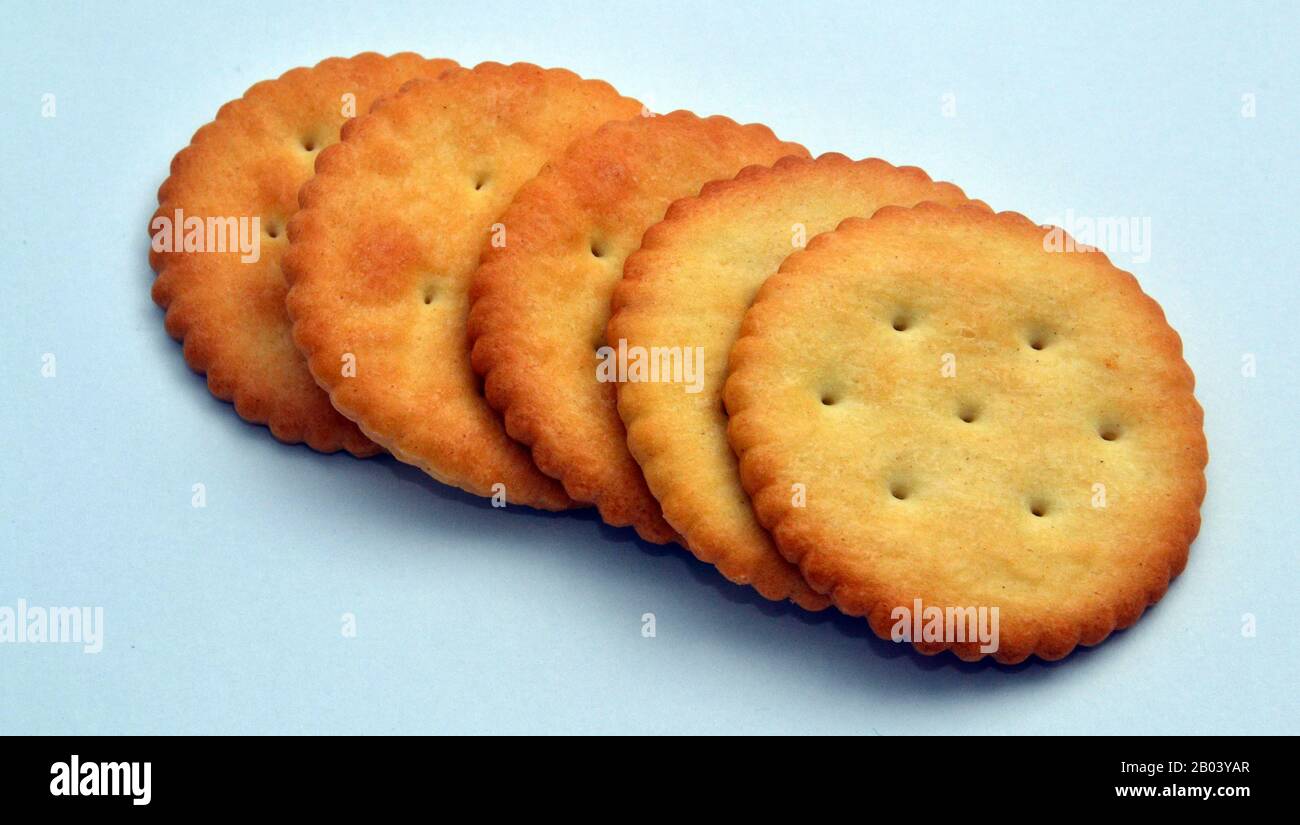 A row of small, round crackers on a white background Stock Photo - Alamy