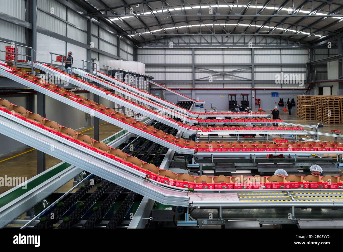 Empty packaging boxes are seen moving along conveyor belts at a ...