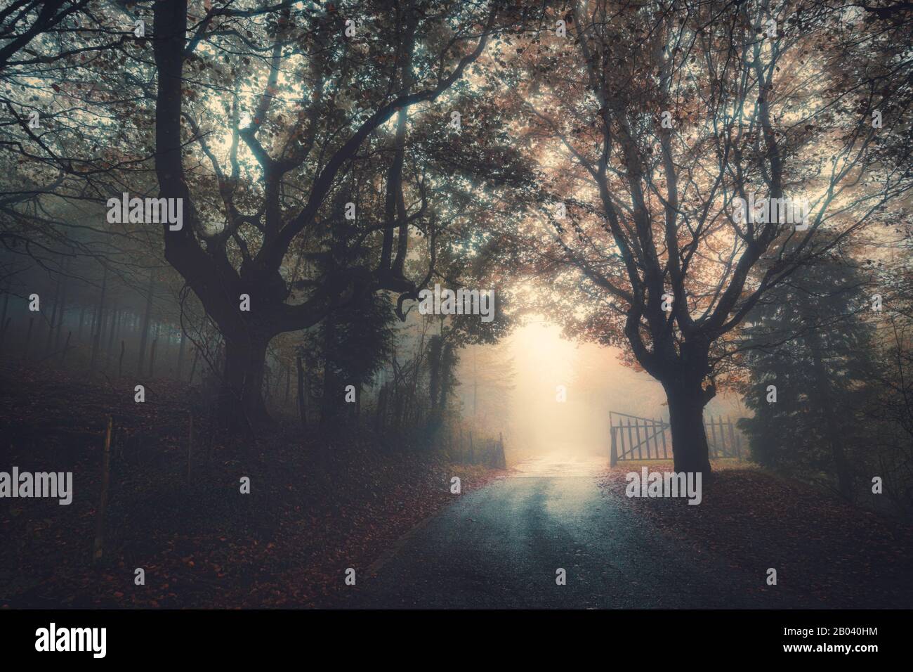 Dreamy pathway hi-res stock photography and images - Alamy
