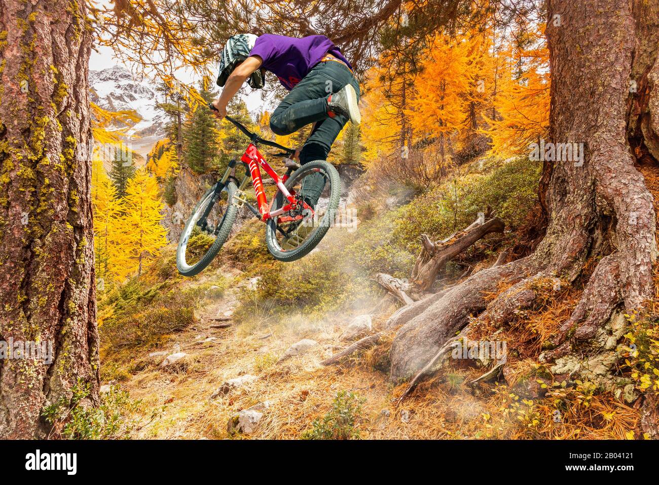 descent with MTB in the fall Stock Photo - Alamy