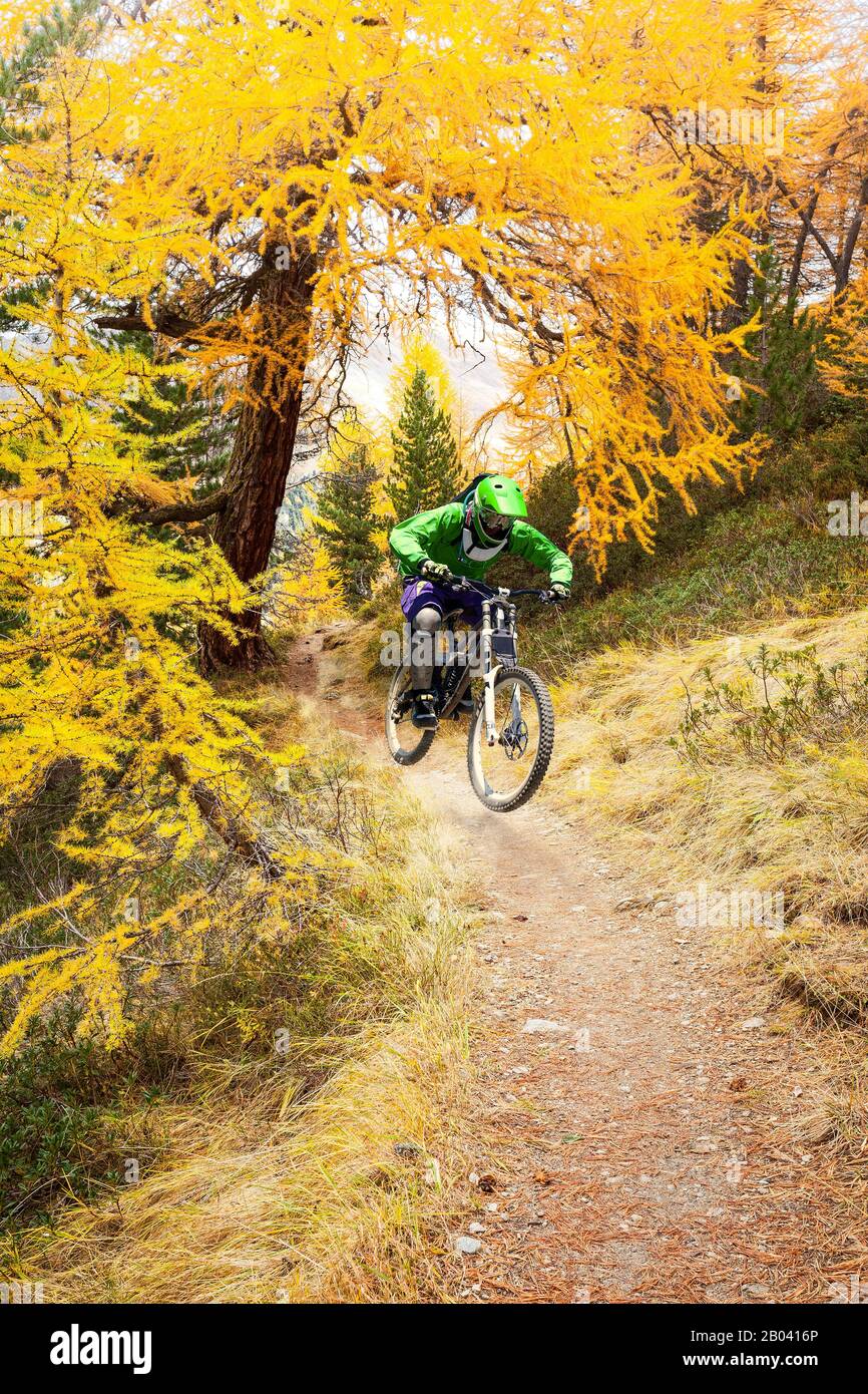 descent with MTB in the fall Stock Photo - Alamy