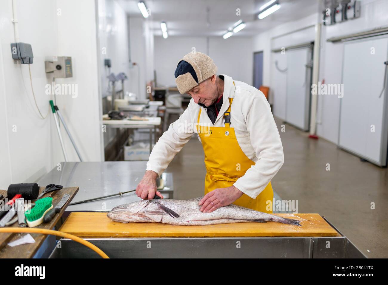 Fleetwood , Lancs - Fishing Industry decline - Fleetwood fish merchant ...