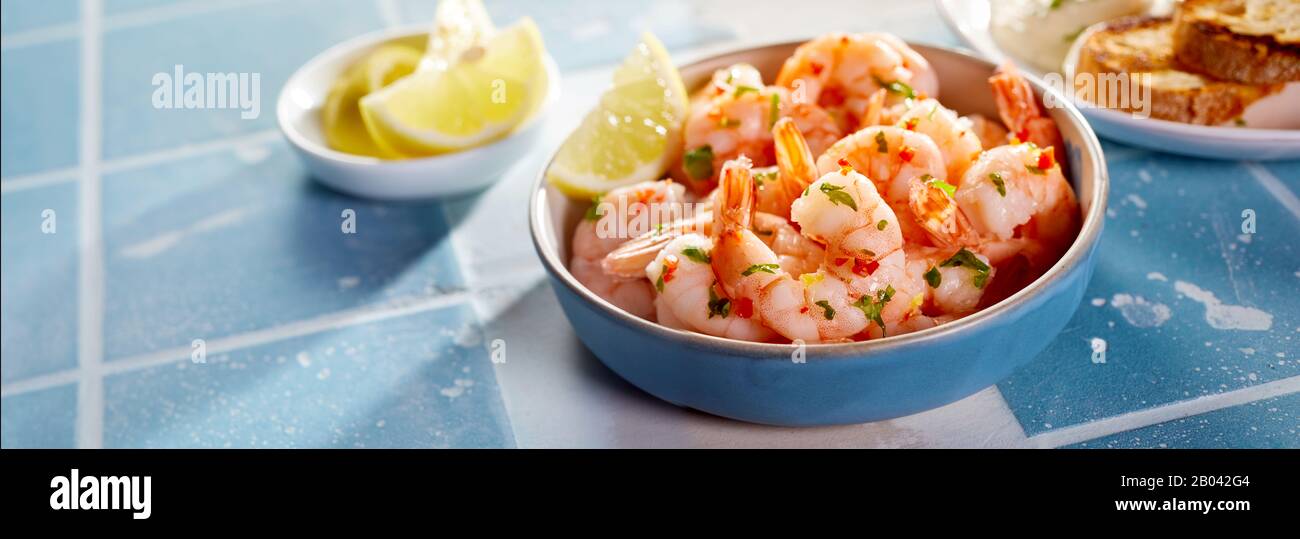 Gourmet Mediterranean summer scampi panorama banner served with herbs ...
