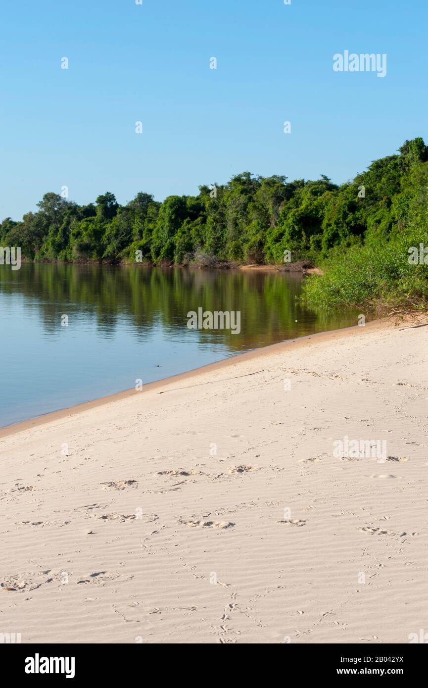 Near Cuiaba High Resolution Stock Photography and Images - Alamy