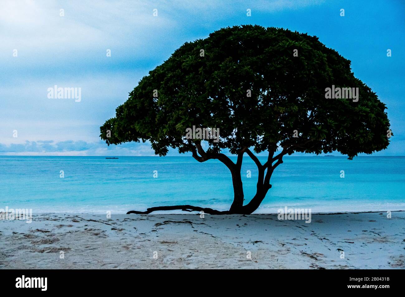 Maldives early hi-res stock photography and images - Alamy