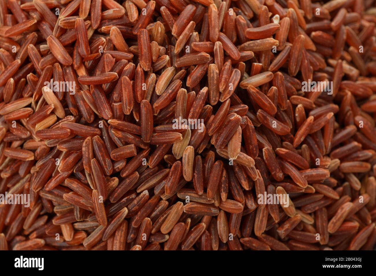 Rice texture background, close up and macro Stock Photo - Alamy