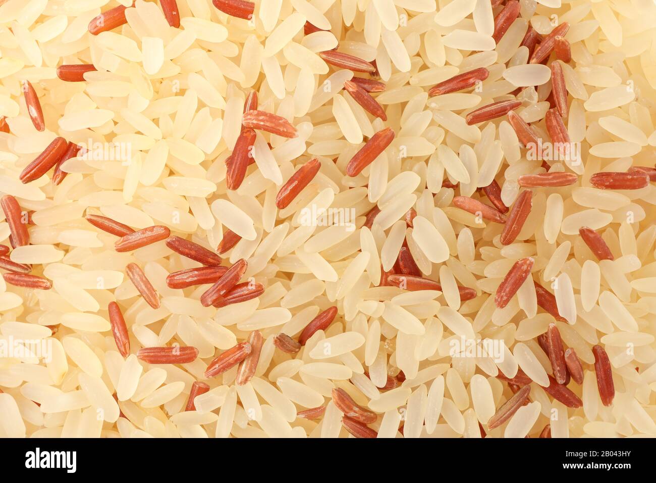 Rice texture background, close up and macro Stock Photo - Alamy