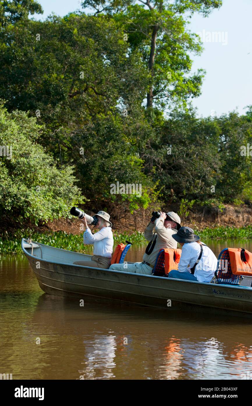 Tourists in boat on excursion to watch and photograph the wildlife in ...