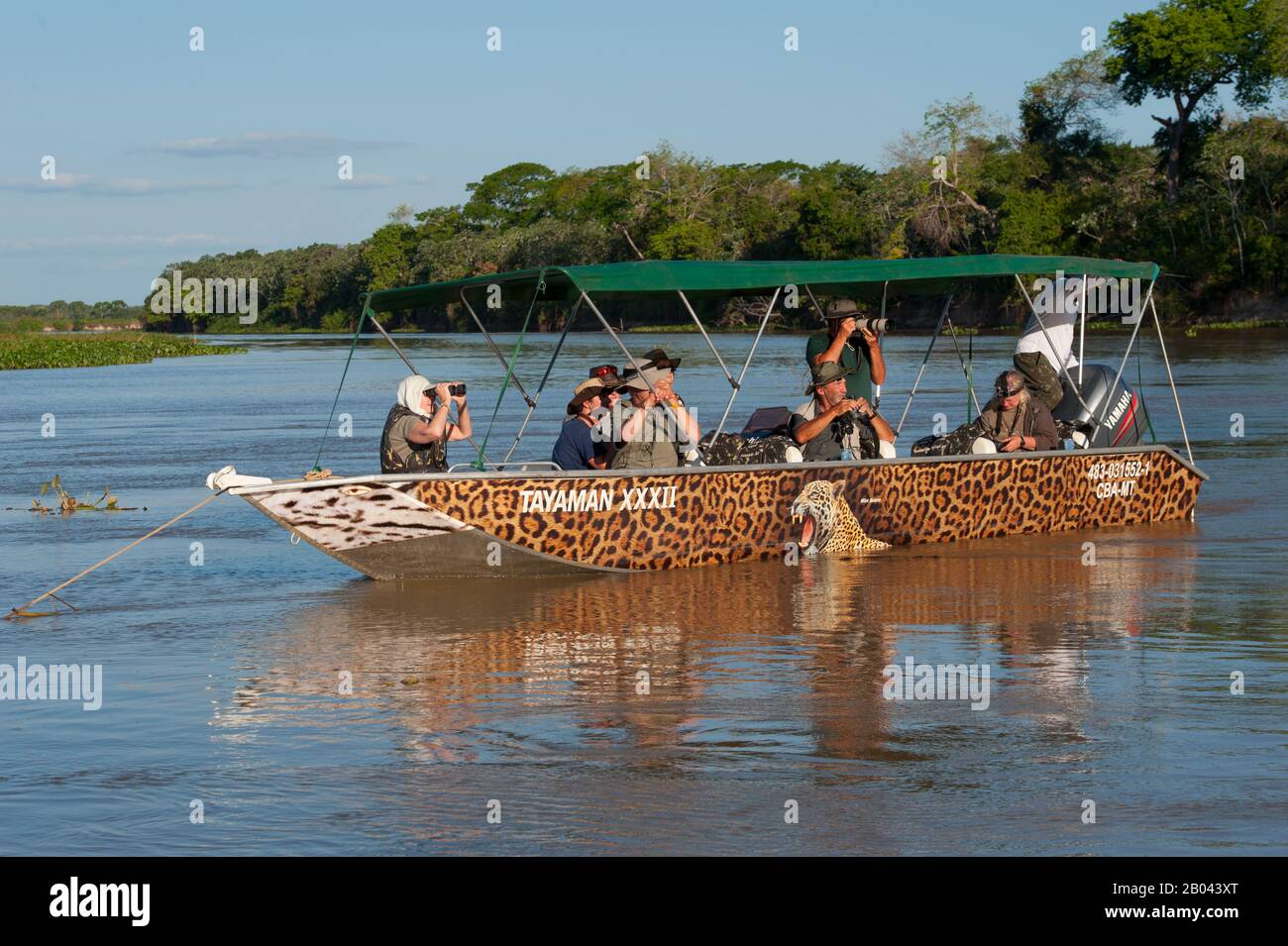 Tourists in boat on excursion to watch and photograph the wildlife in ...