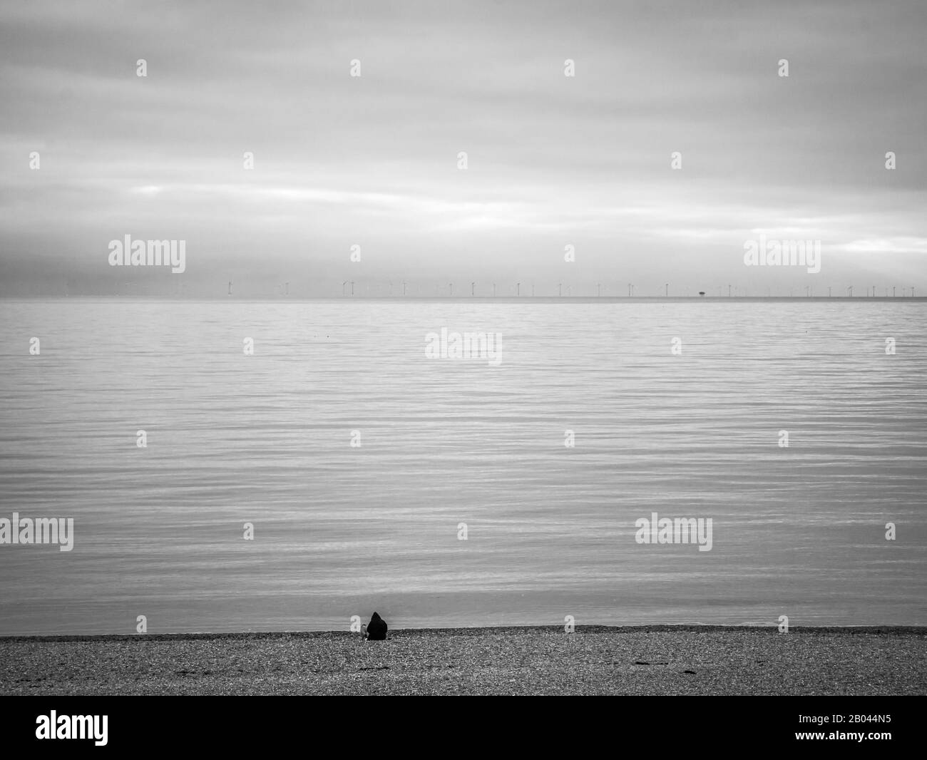 Man on beach looking sea Black and White Stock Photos & Images - Alamy