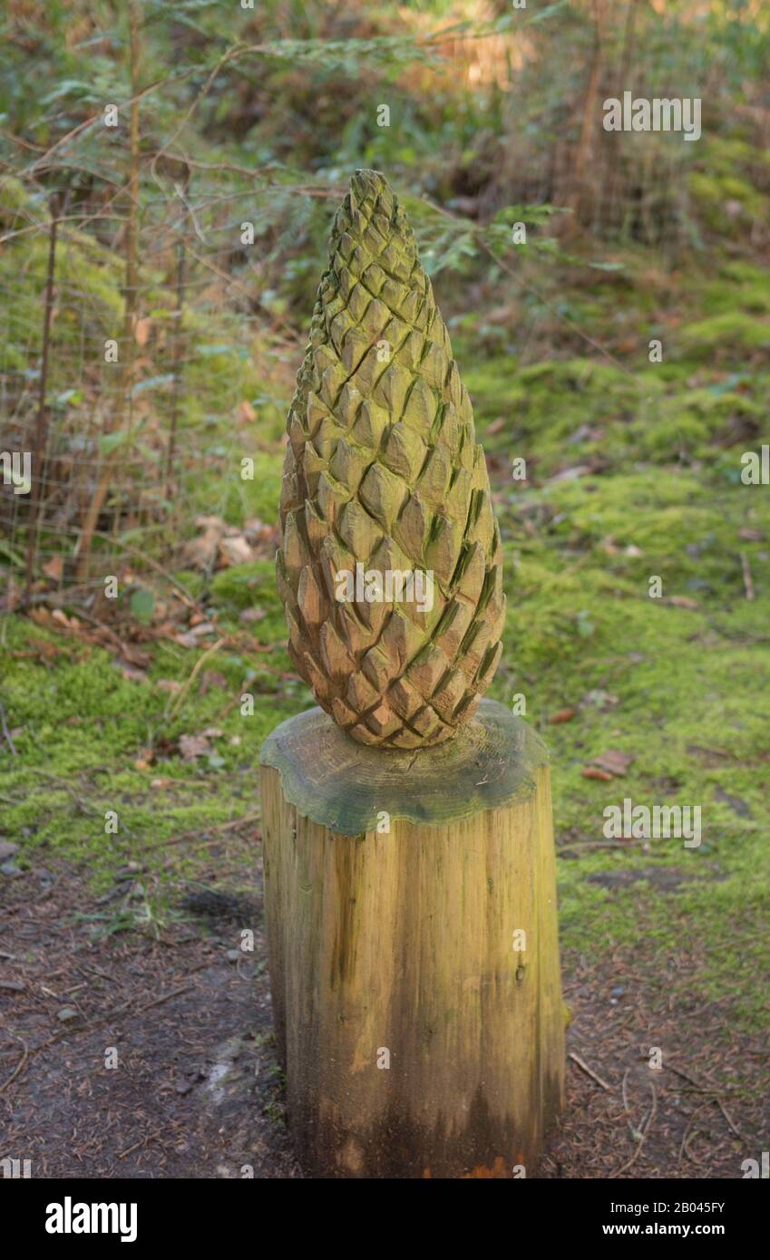 Carving from tree trunk hi-res stock photography and images - Alamy