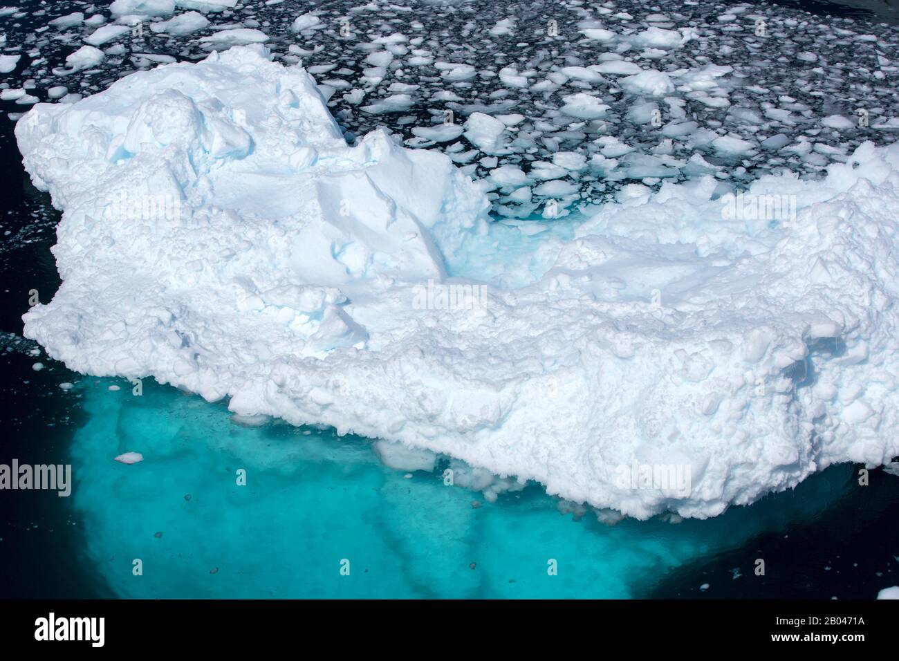 Icebergs off Orne harbour on the Danco Coast, Graham Land, Antarctica ...
