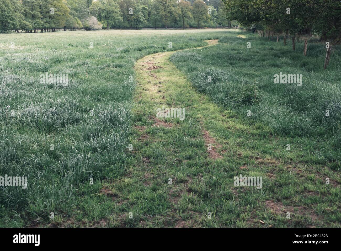 Mowed pathway hi-res stock photography and images - Alamy