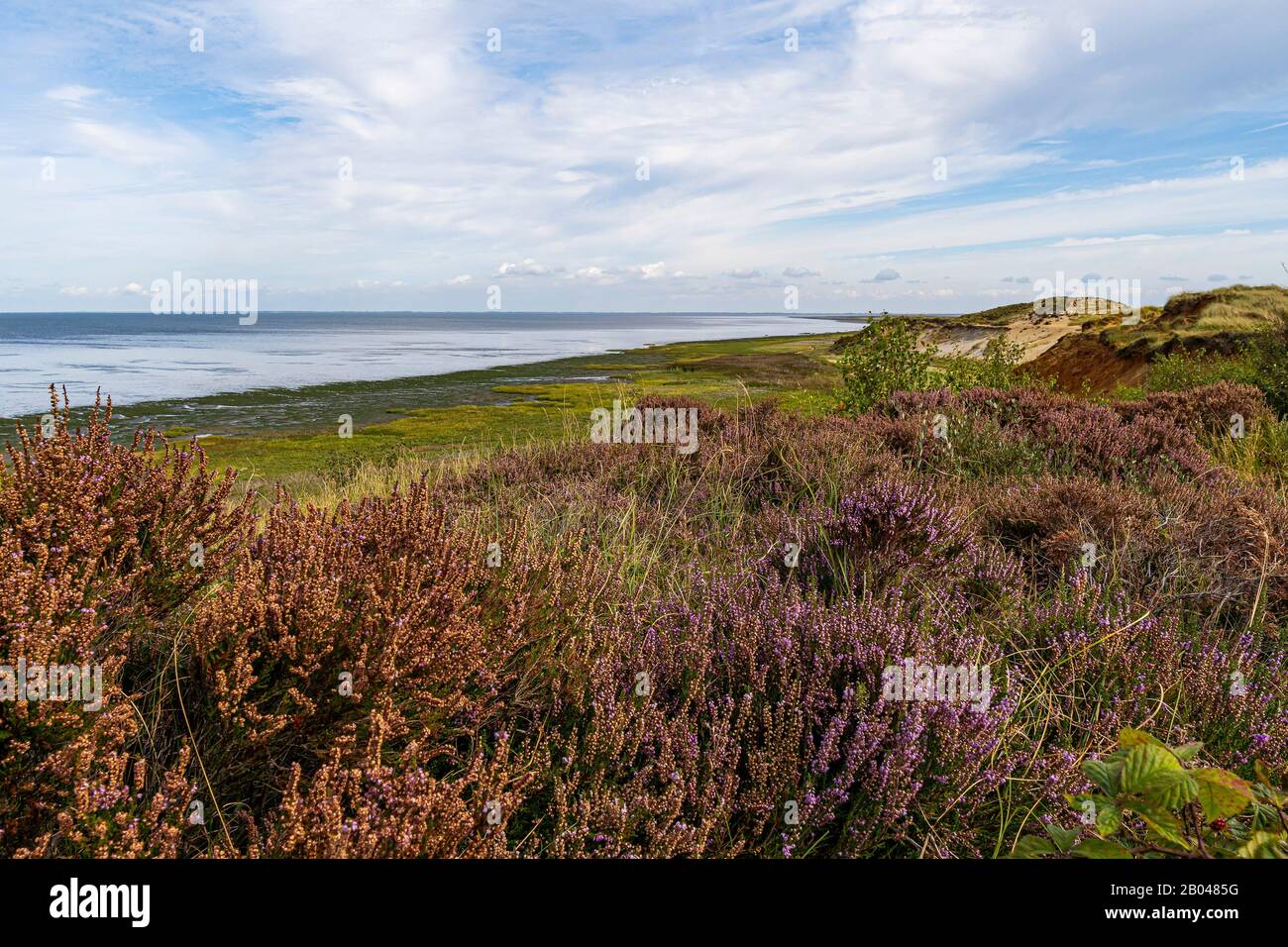 Morsum-Kliff Natural reserve - Sylt, Germany Stock Photo - Alamy