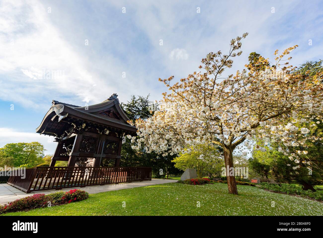 Royal botanic gardens kew cherry hi-res stock photography and images ...