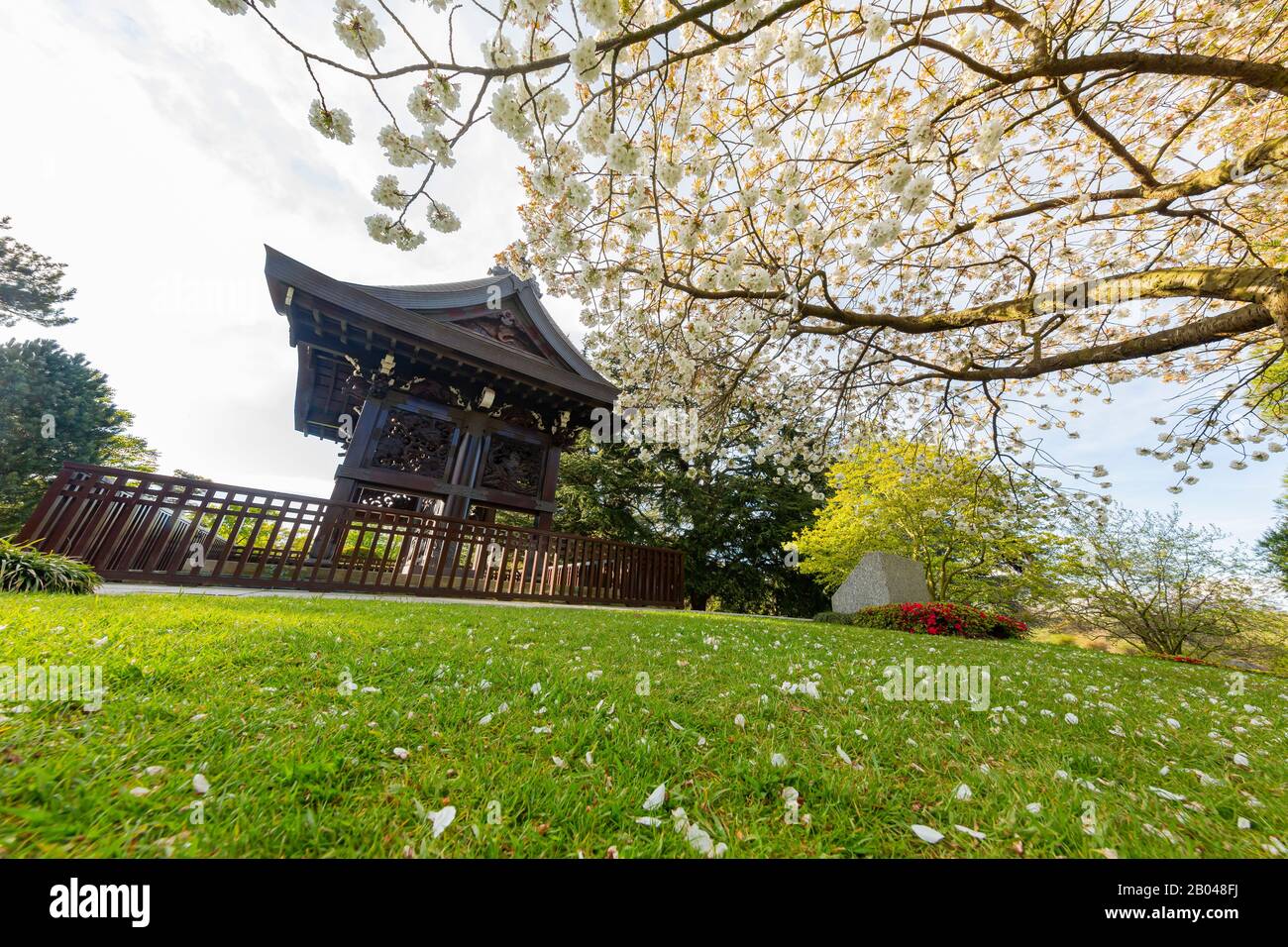 Royal botanic gardens kew cherry hi-res stock photography and images ...