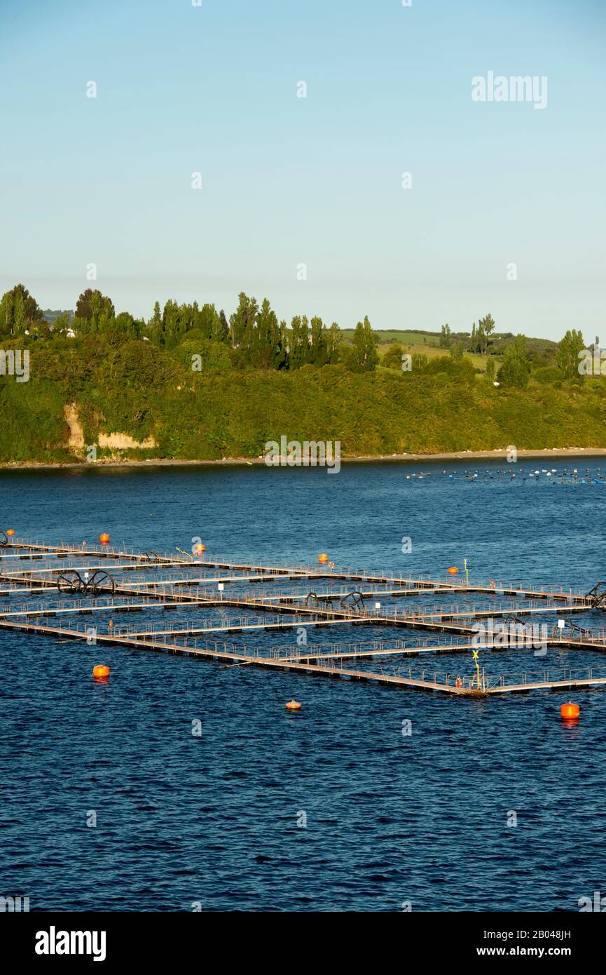Chile fish farms hi-res stock photography and images - Alamy