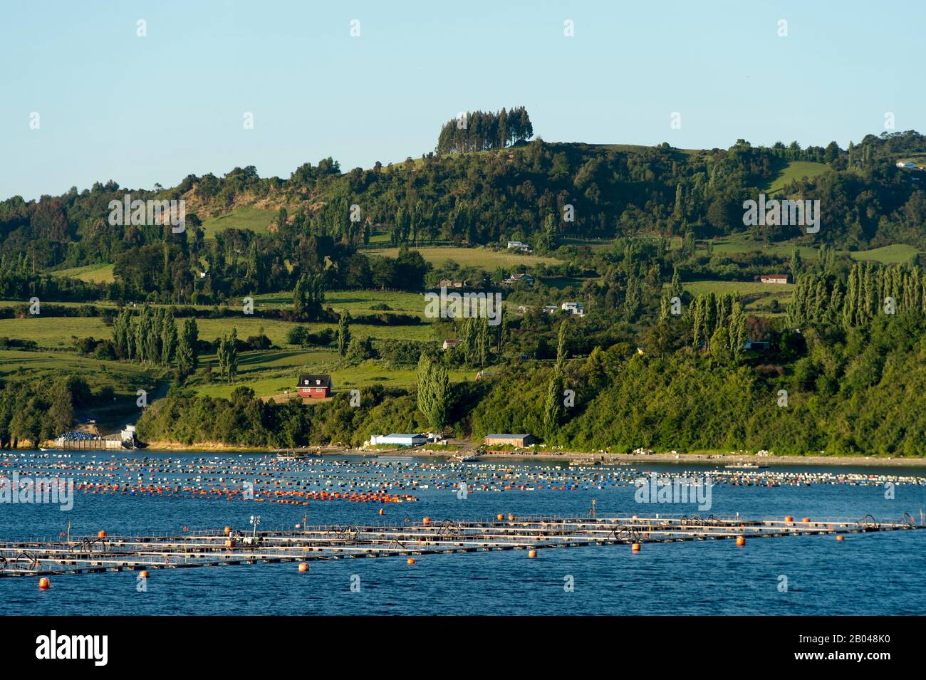 Chile fish farms hi-res stock photography and images - Alamy