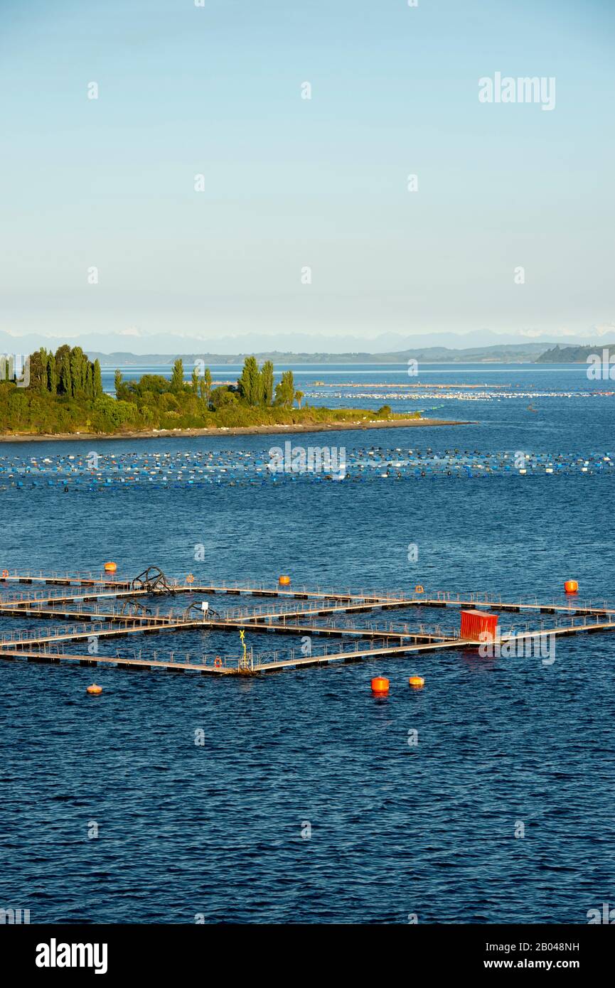 Chile fish farms hi-res stock photography and images - Alamy