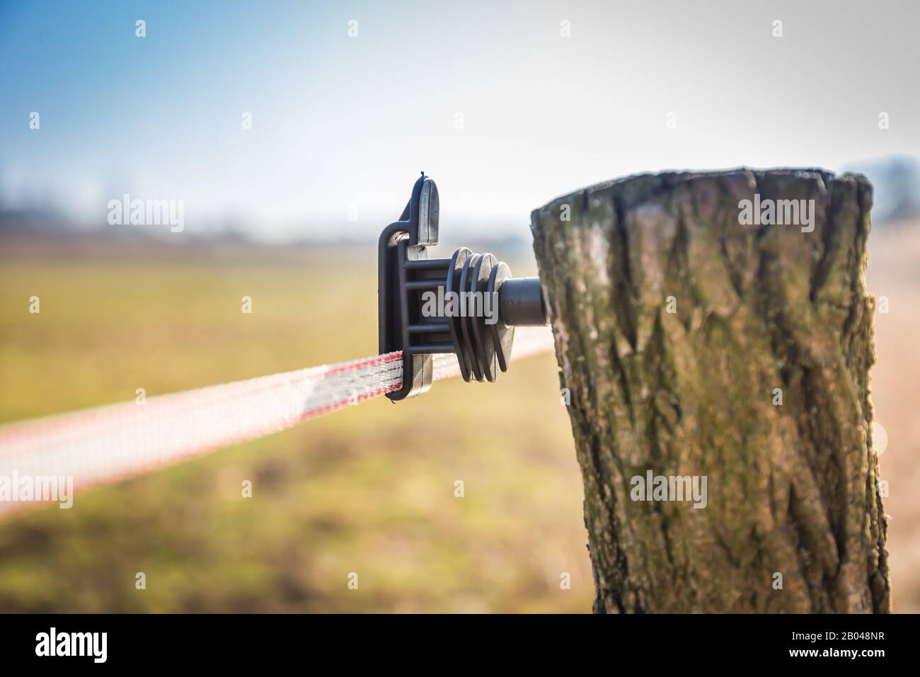 Black electric fence insulator on a fence post. Pole made of tree ...
