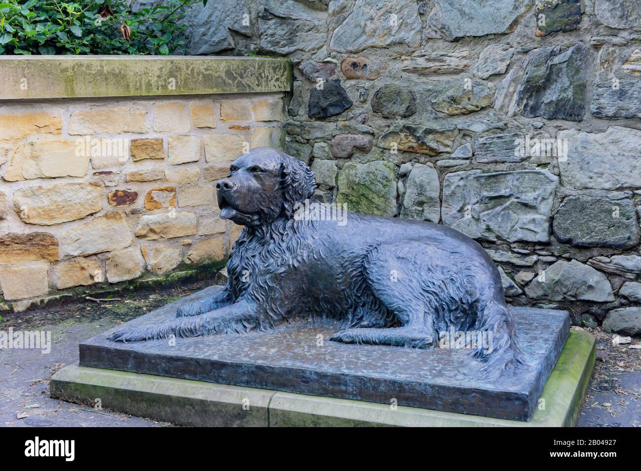 Bum the Dog bronze statue at Edinburgh, United Kingdom Stock Photo - Alamy