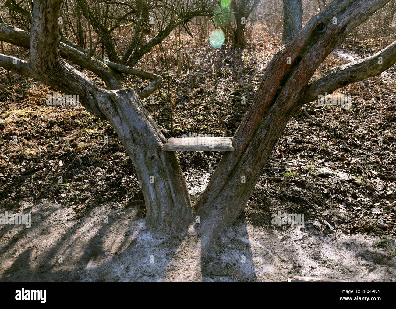 Park diy hi-res stock photography and images - Alamy