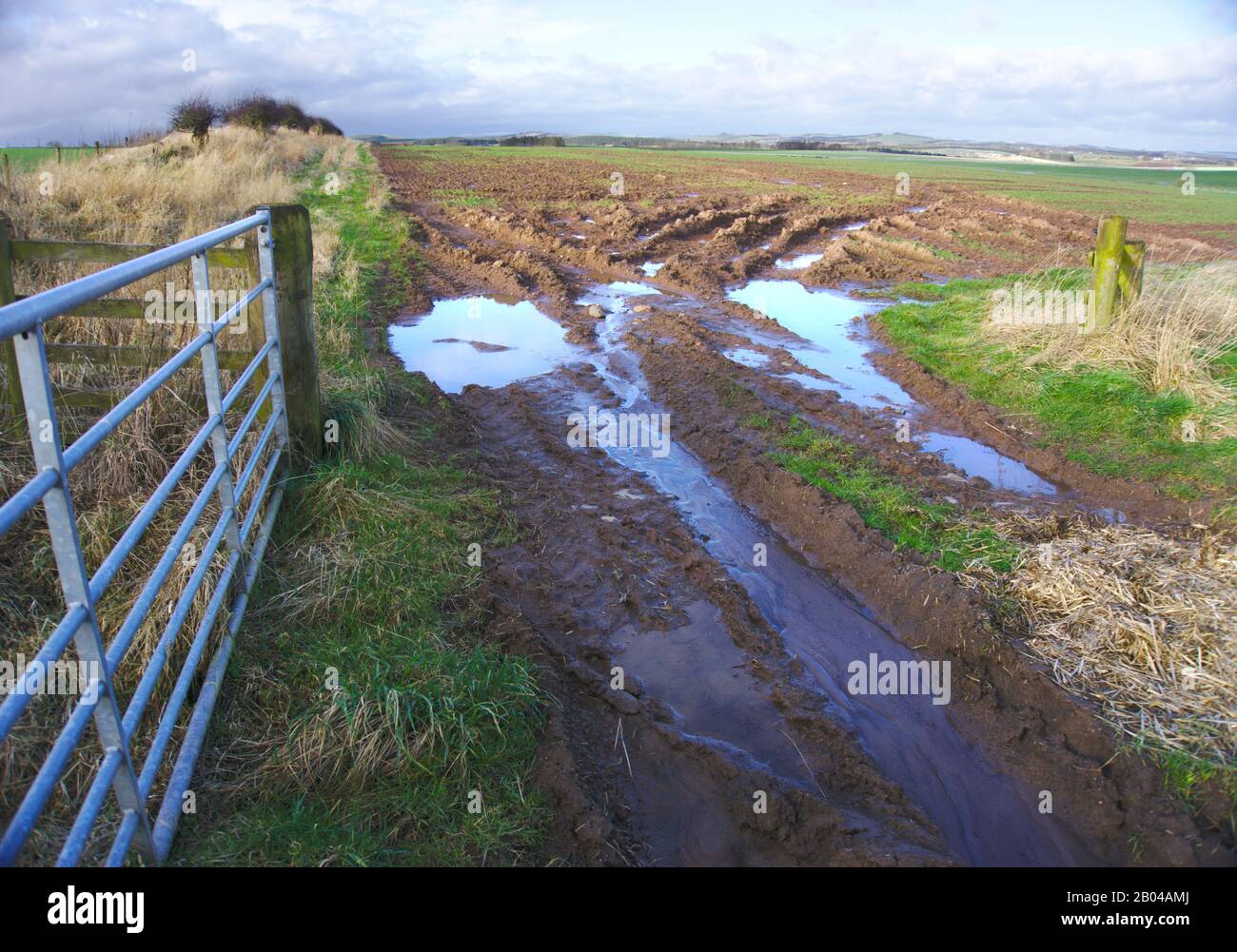 Muddy field hi-res stock photography and images - Alamy