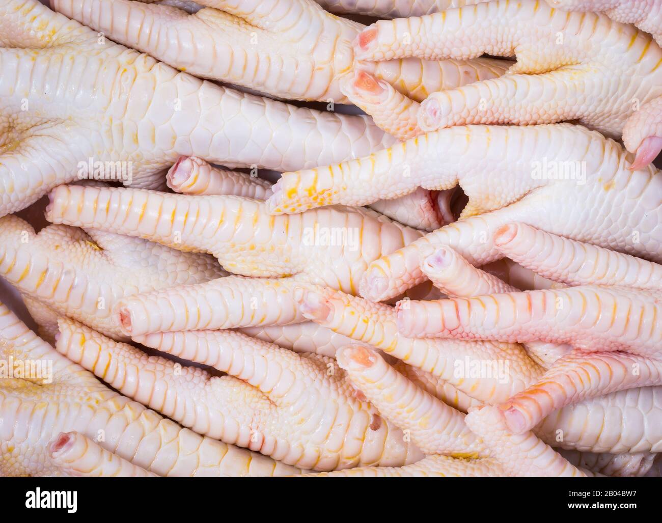 Feet cut off hi-res stock photography and images - Alamy