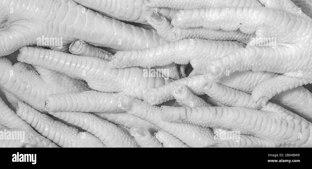 Feet cut off Black and White Stock Photos & Images - Alamy