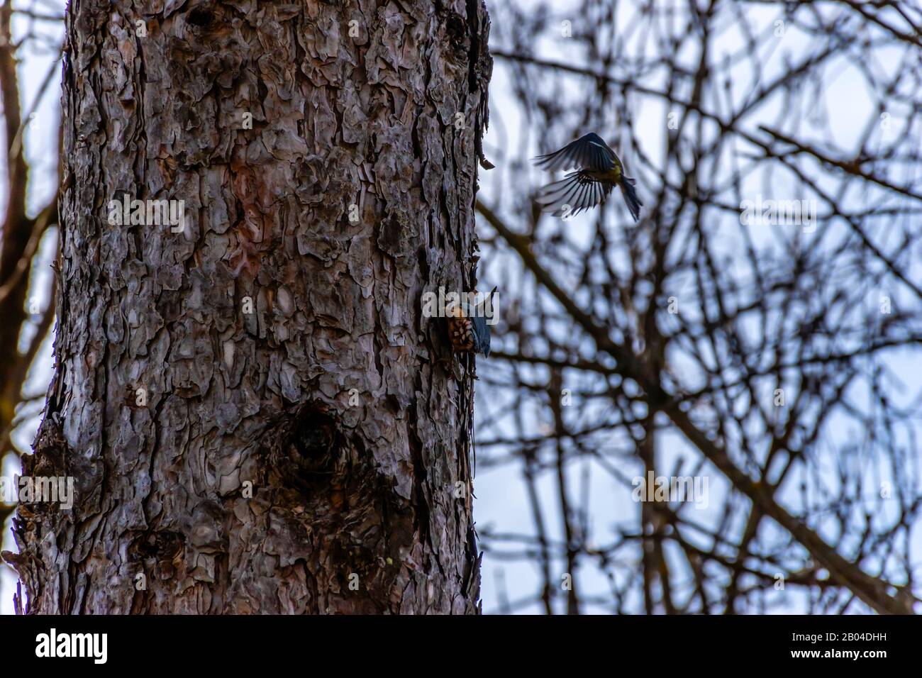 Away fighting hi-res stock photography and images - Alamy