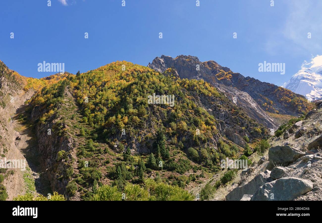 Rakaposhi basecamp trek in the Karakoram area, 2019 Pakistan Stock ...