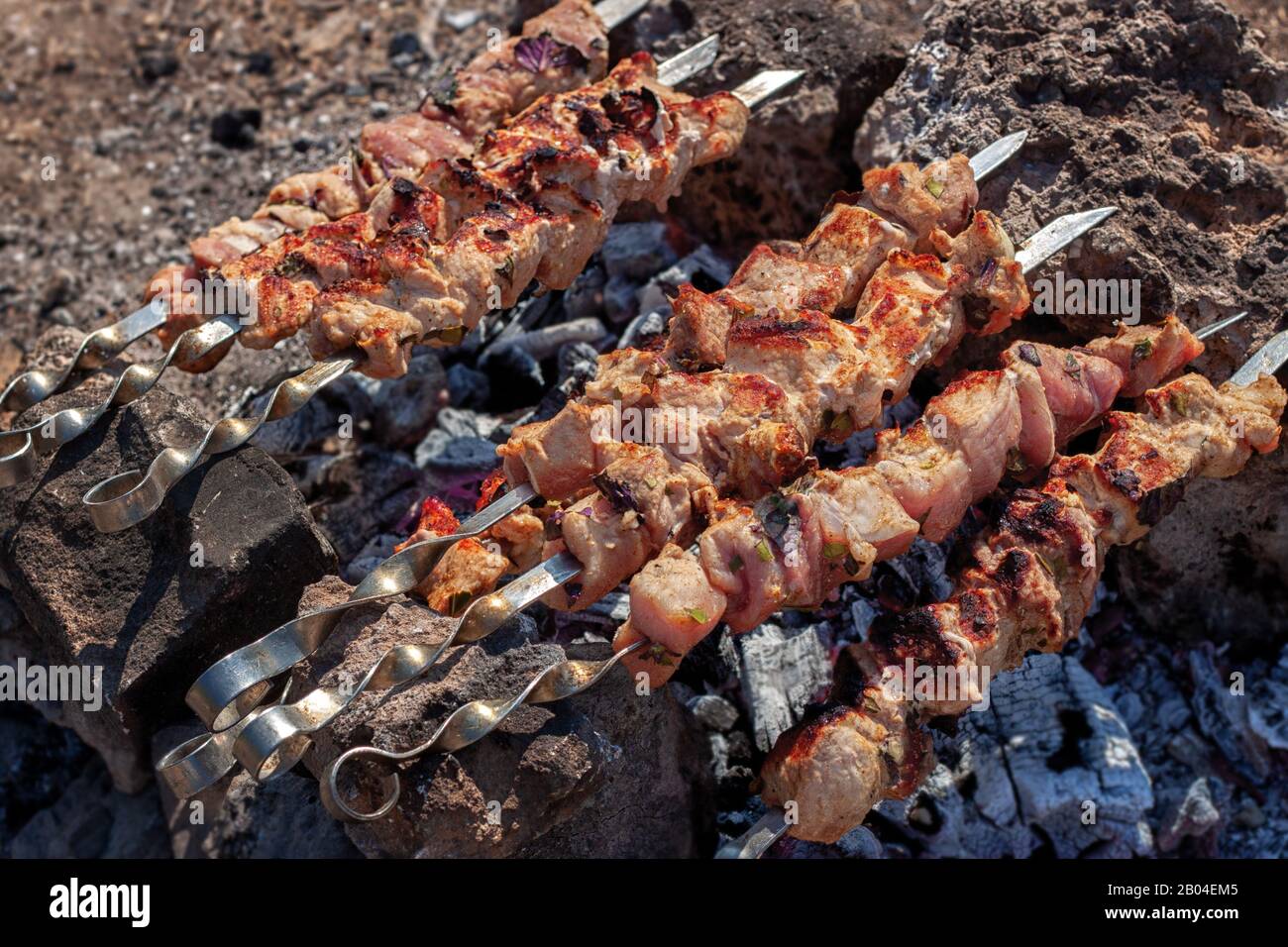 Shish kebab is baked over a fire with smoke. Camping and delicious food ...